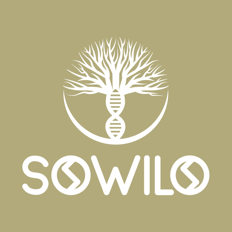 Sowilo by Mo